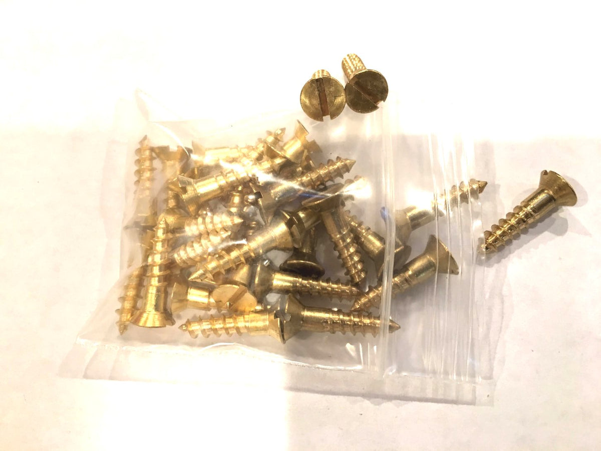 Hinge_Screws_25_pack_1200x1200.jpg?v=1523048347